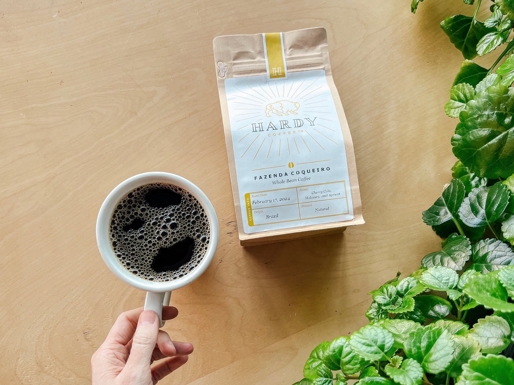 All – Hardy Coffee Co.