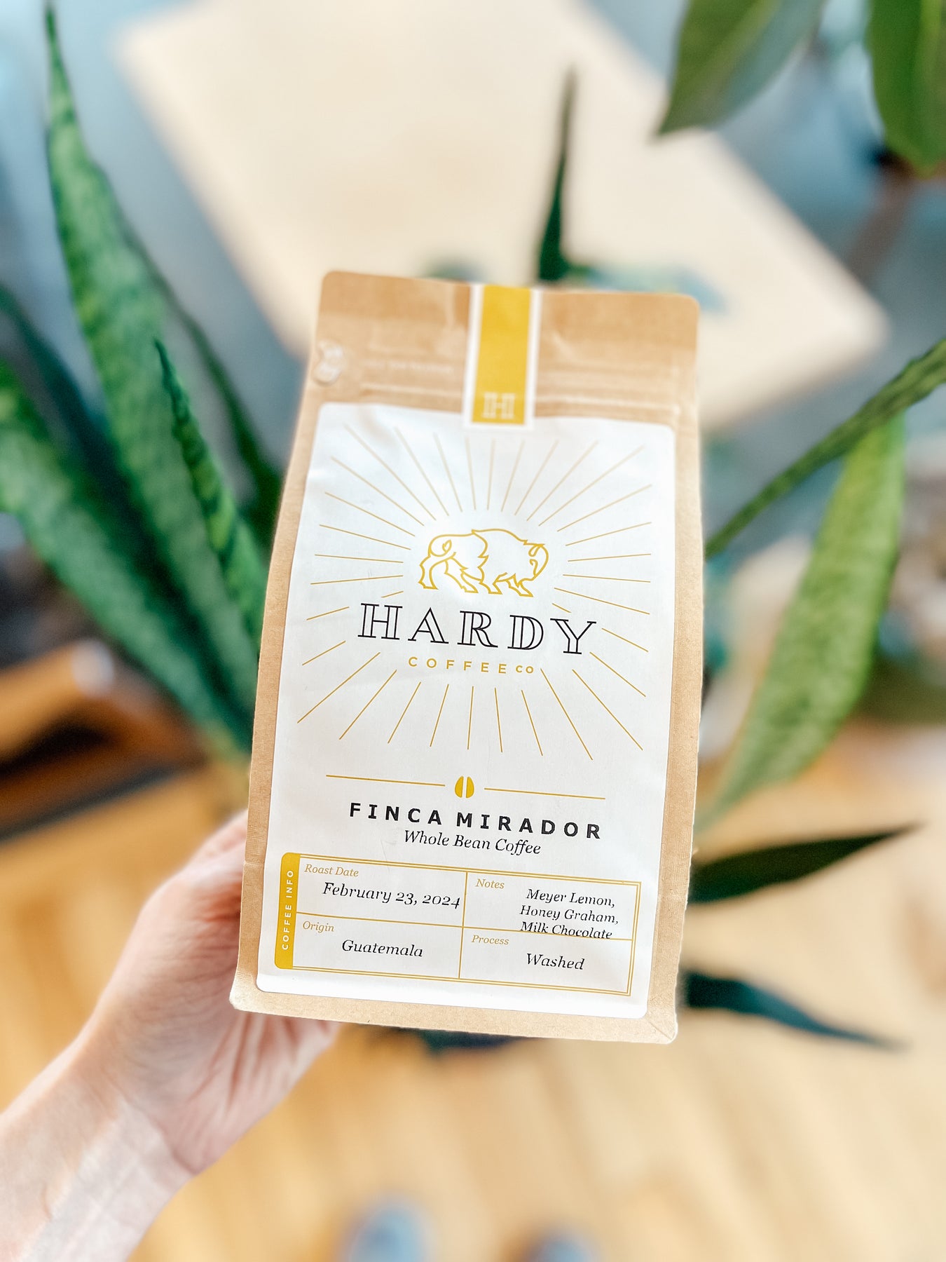 All – Hardy Coffee Co.